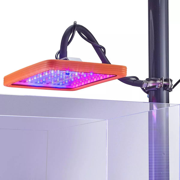 GRO Light with Pipe Bracket – Easy Reef Supplies