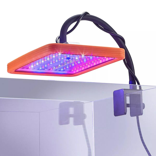 GRO Light with Flat Bracket – Easy Reef Supplies